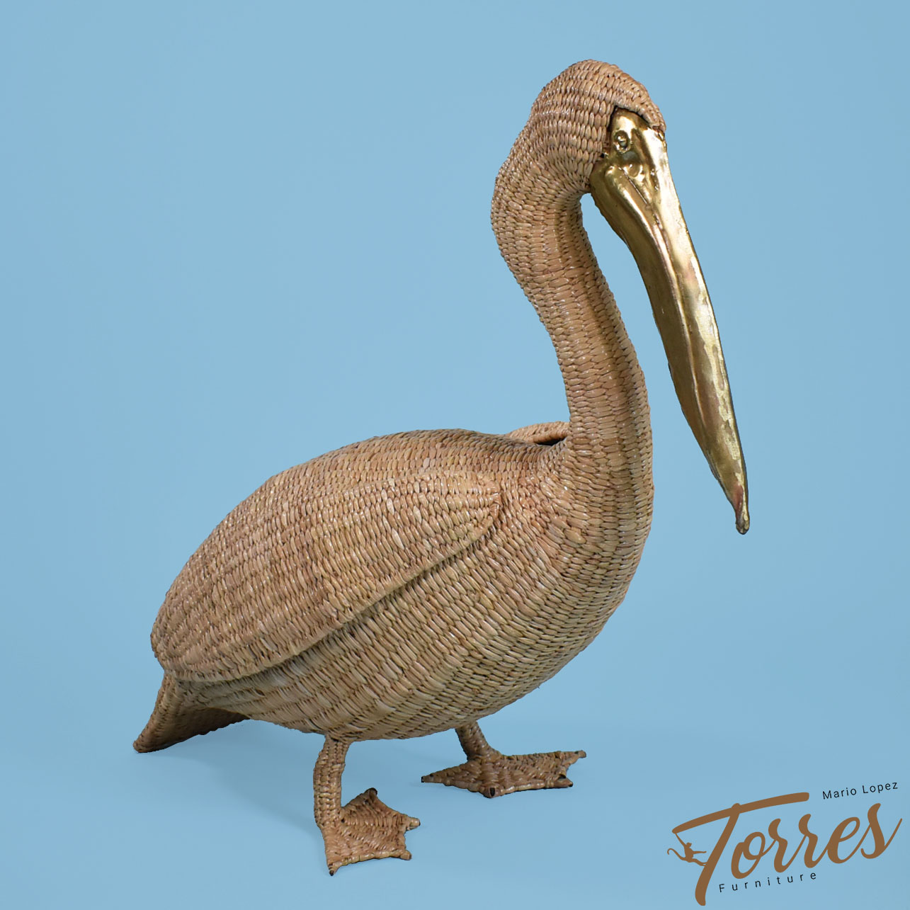 Pelican by Mario Lopez Torres - Mario Lopez Torres