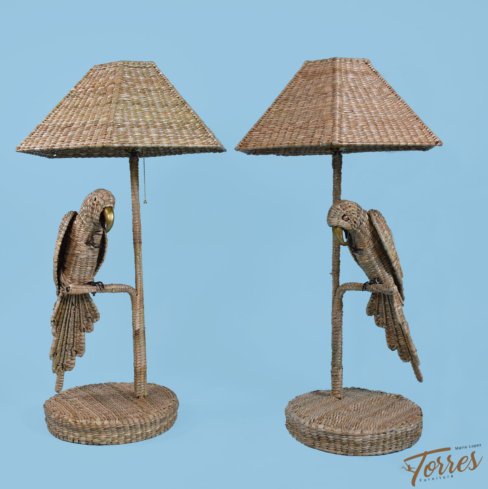 Pair of Macaw Table Lamps - Mario Lopez Torres