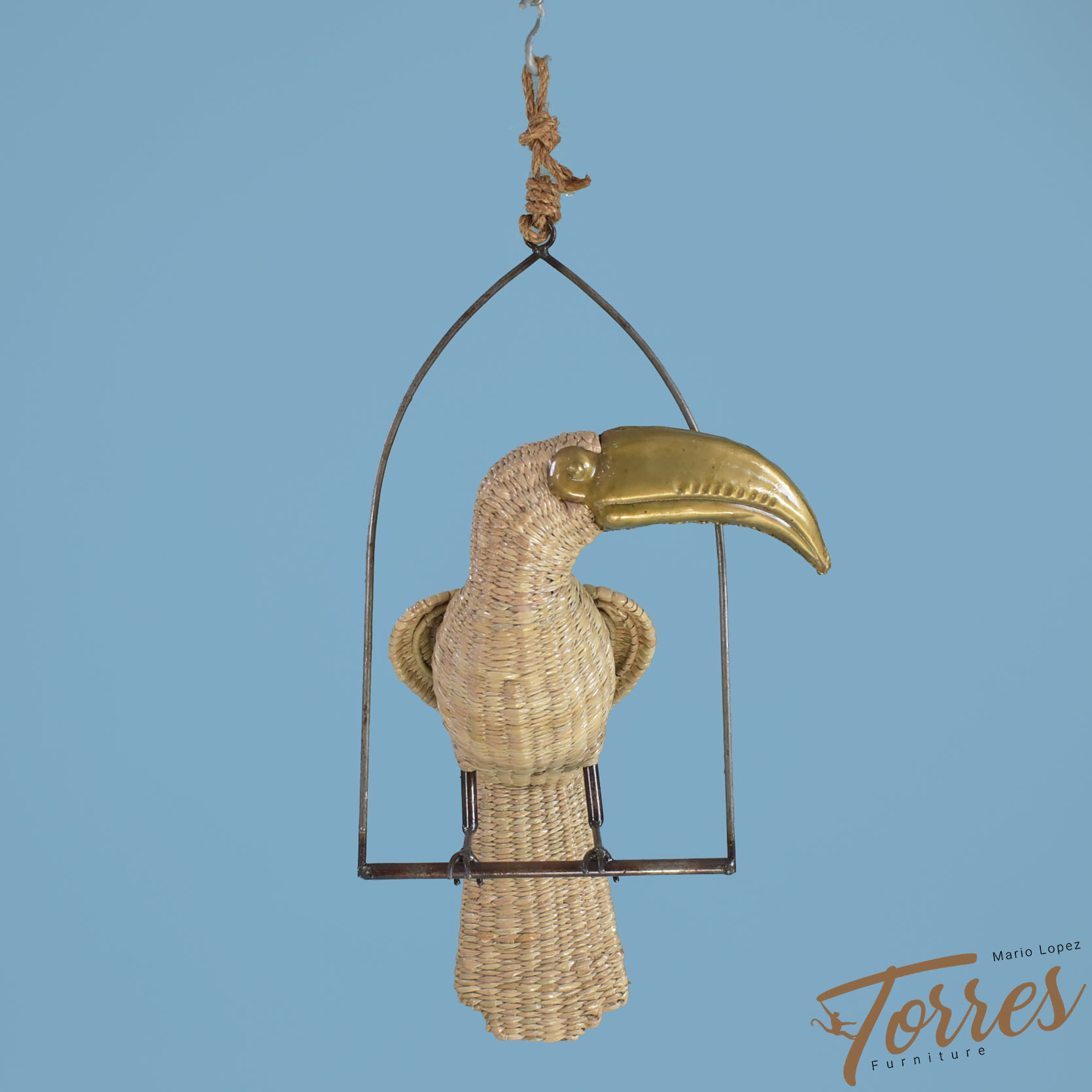 Toucan On A Swing by Mario Lopez Torres - Mario Lopez Torres