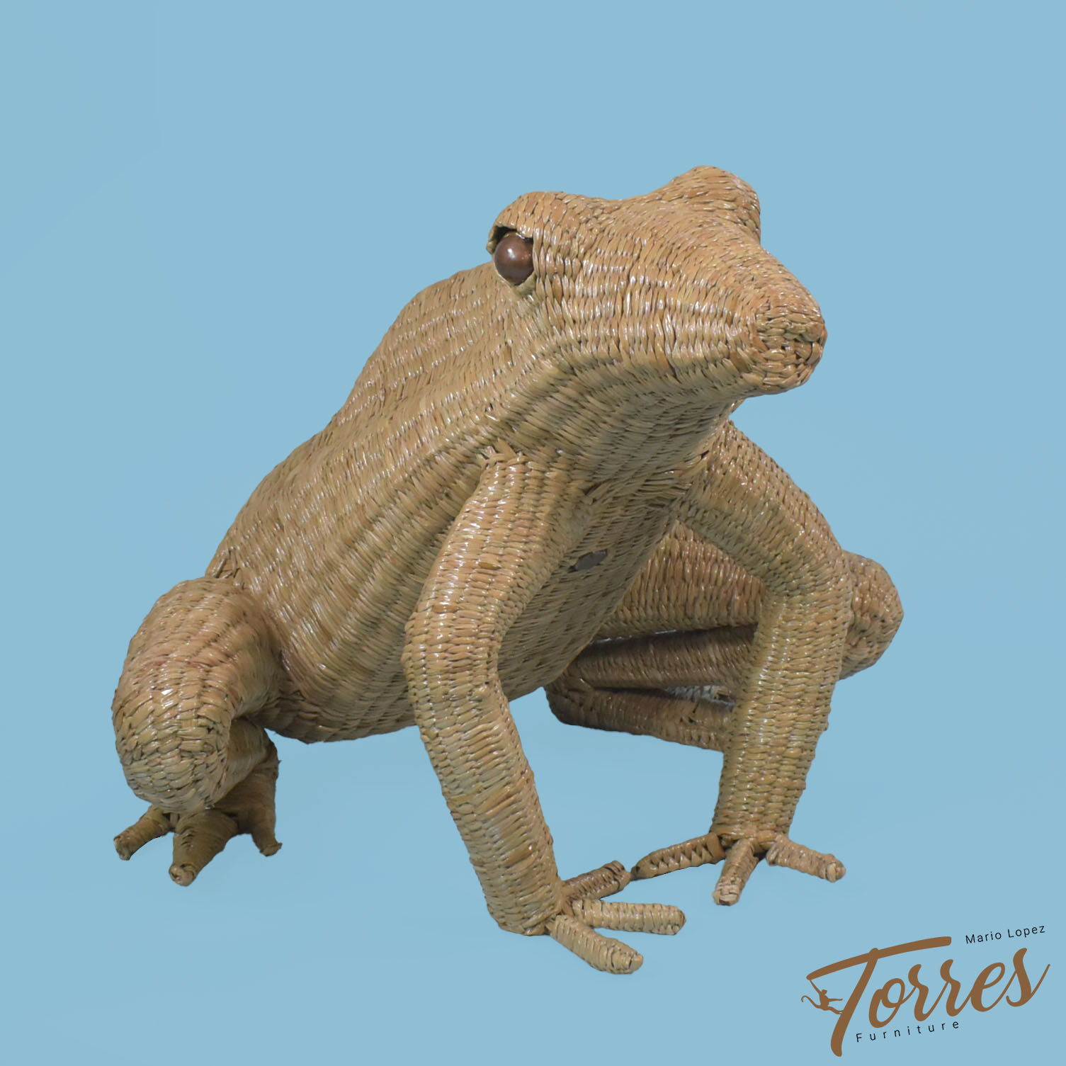 Frog Figure by Mario Lopez Torres - Mario Lopez Torres